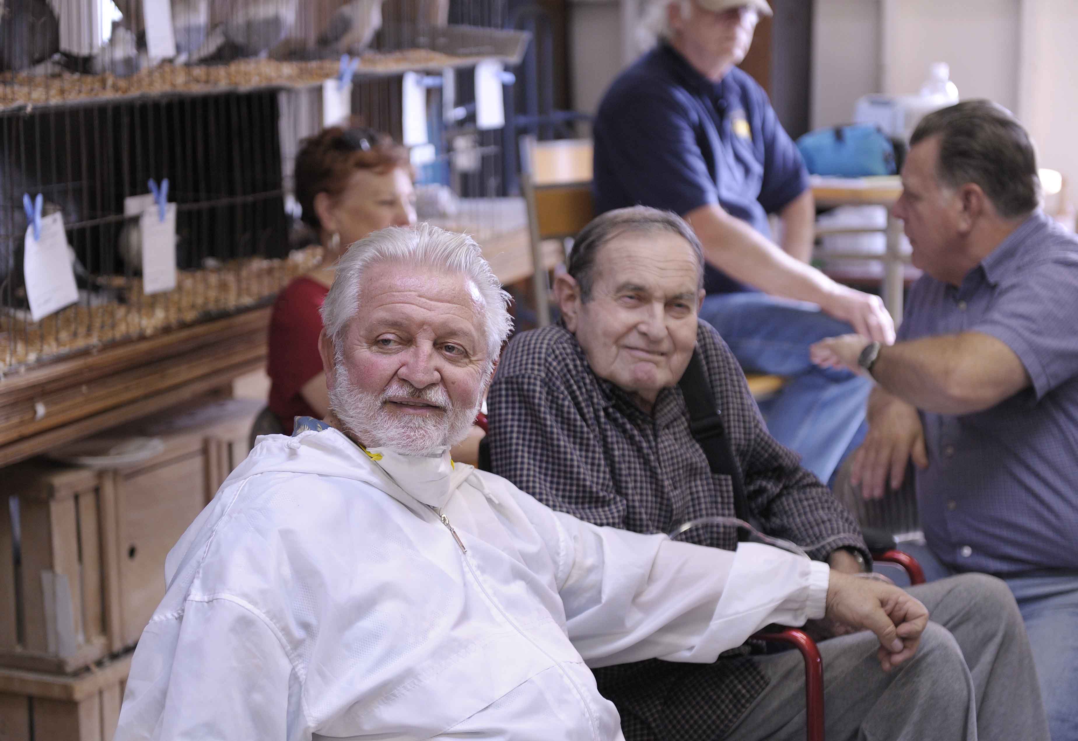 United Swallow Club Annual Meet Show Results