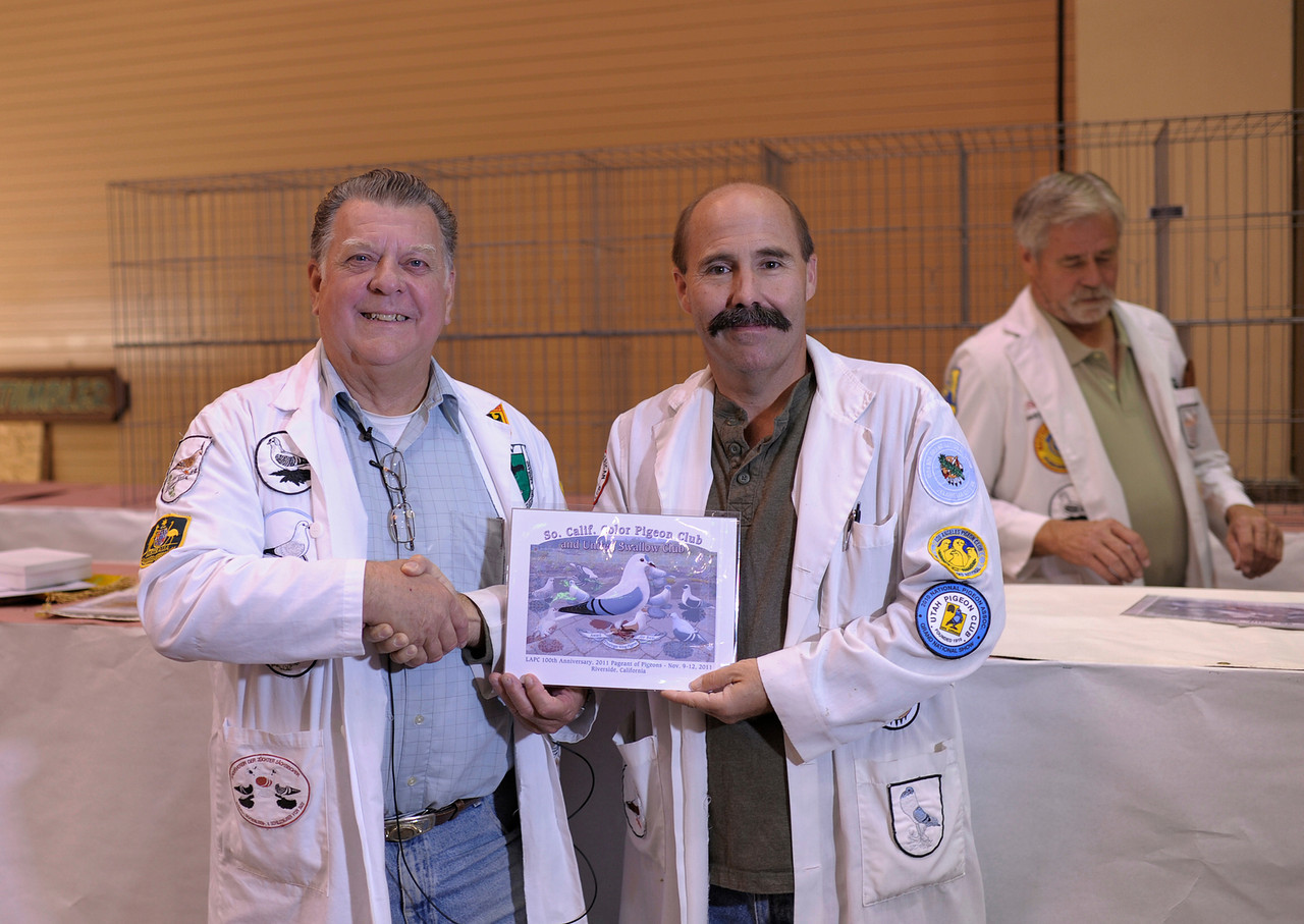 2011 United Swallow Club Annual Meet Show Results